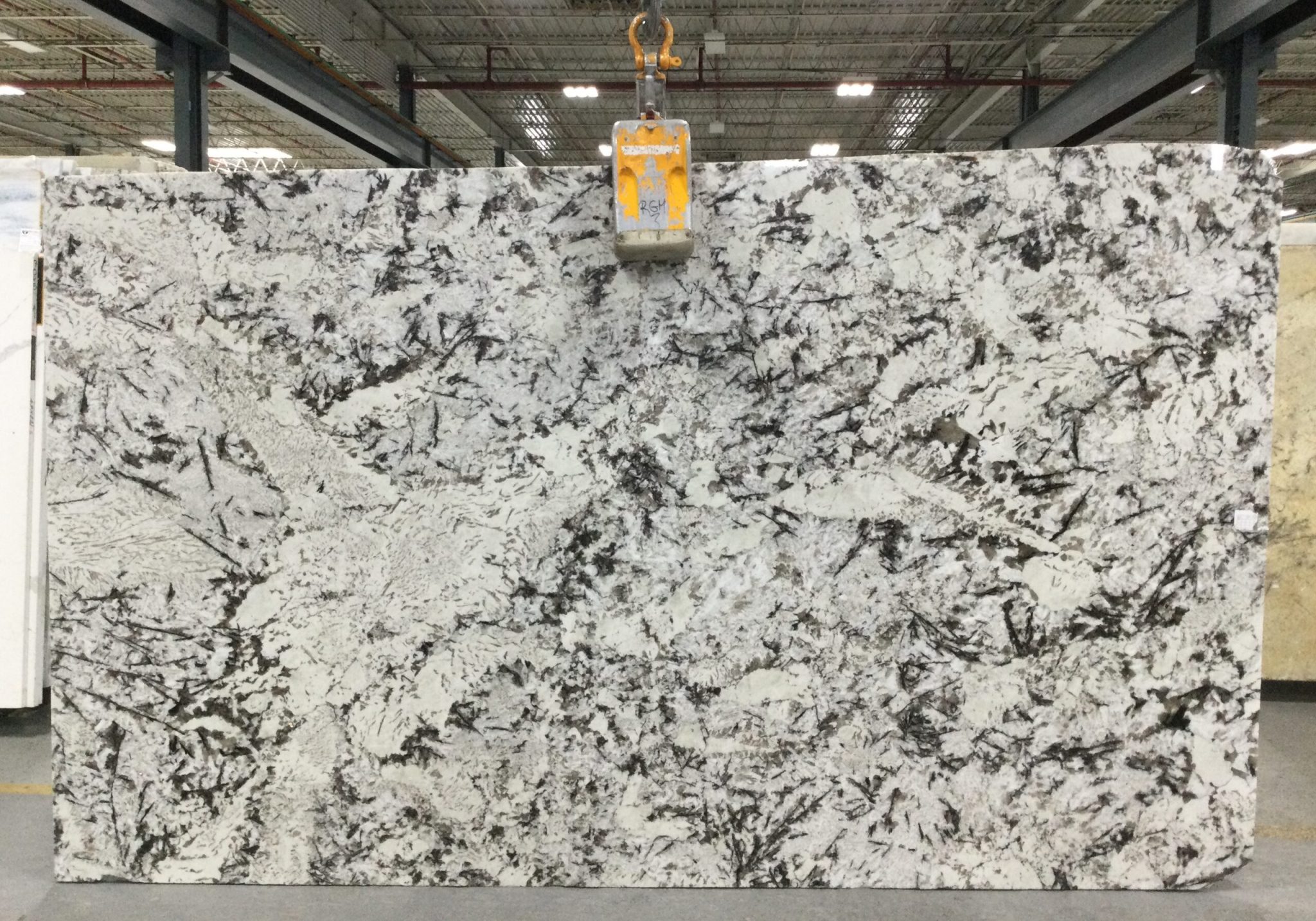 ALASKINO / ALASKAN WHITE - GRANITE