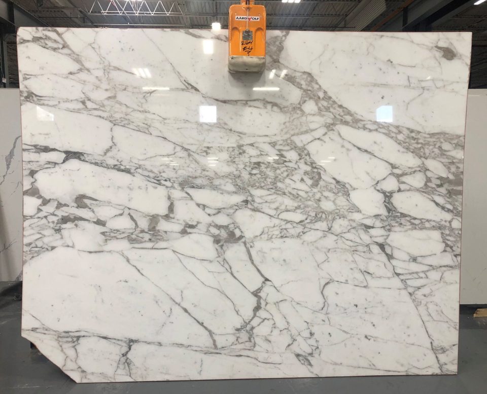 Arabescato Vagli - Reliance Stone